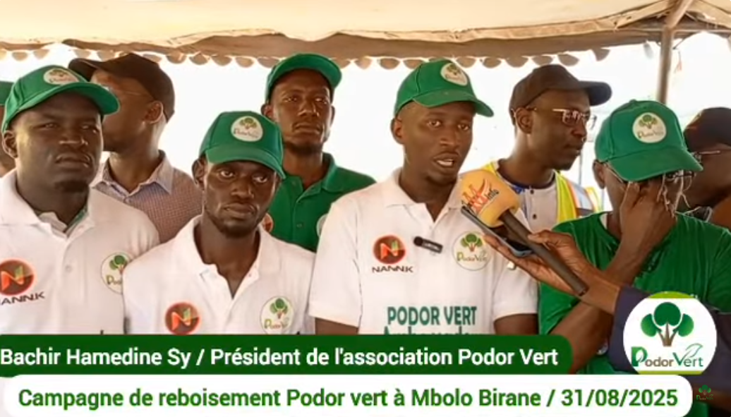 Podor Vert